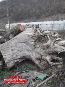 Prodhime të veçanta druri Made in Kosova